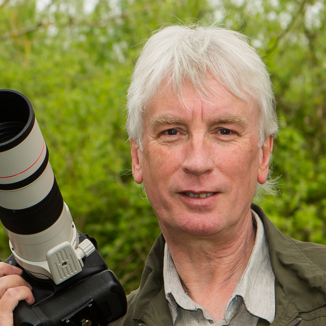 The Celtic Connection - Celtic Life International