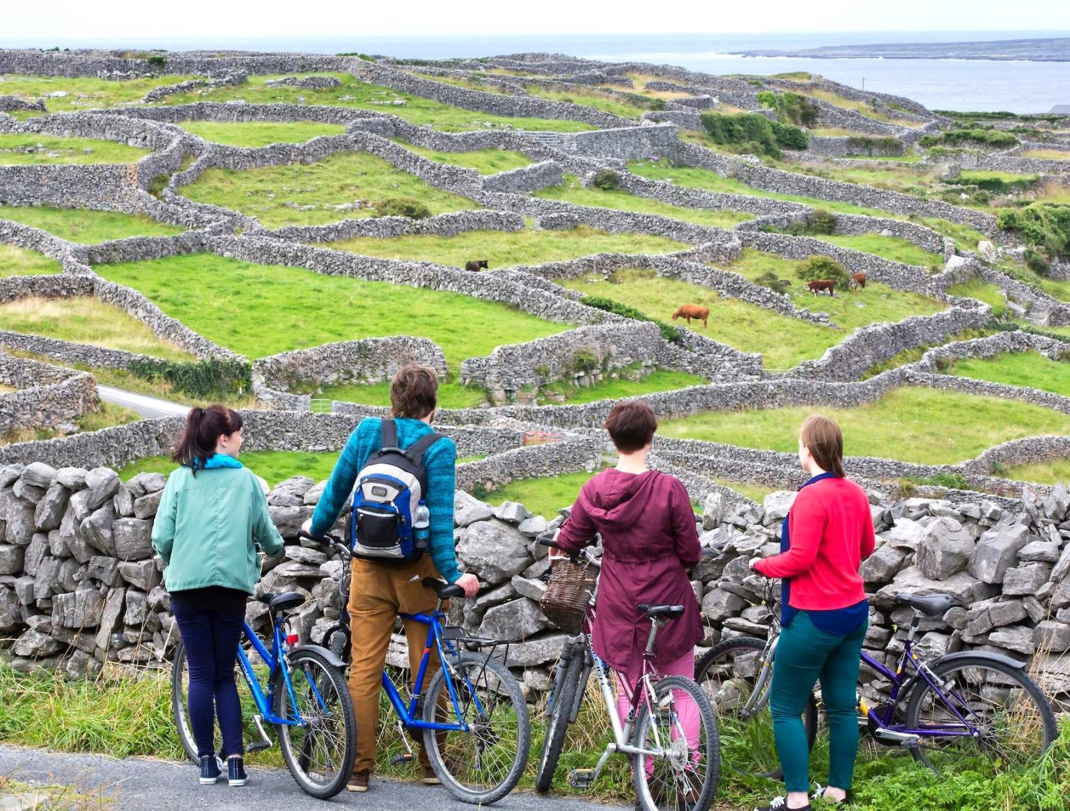 Greenways of Ireland - Celtic Life International